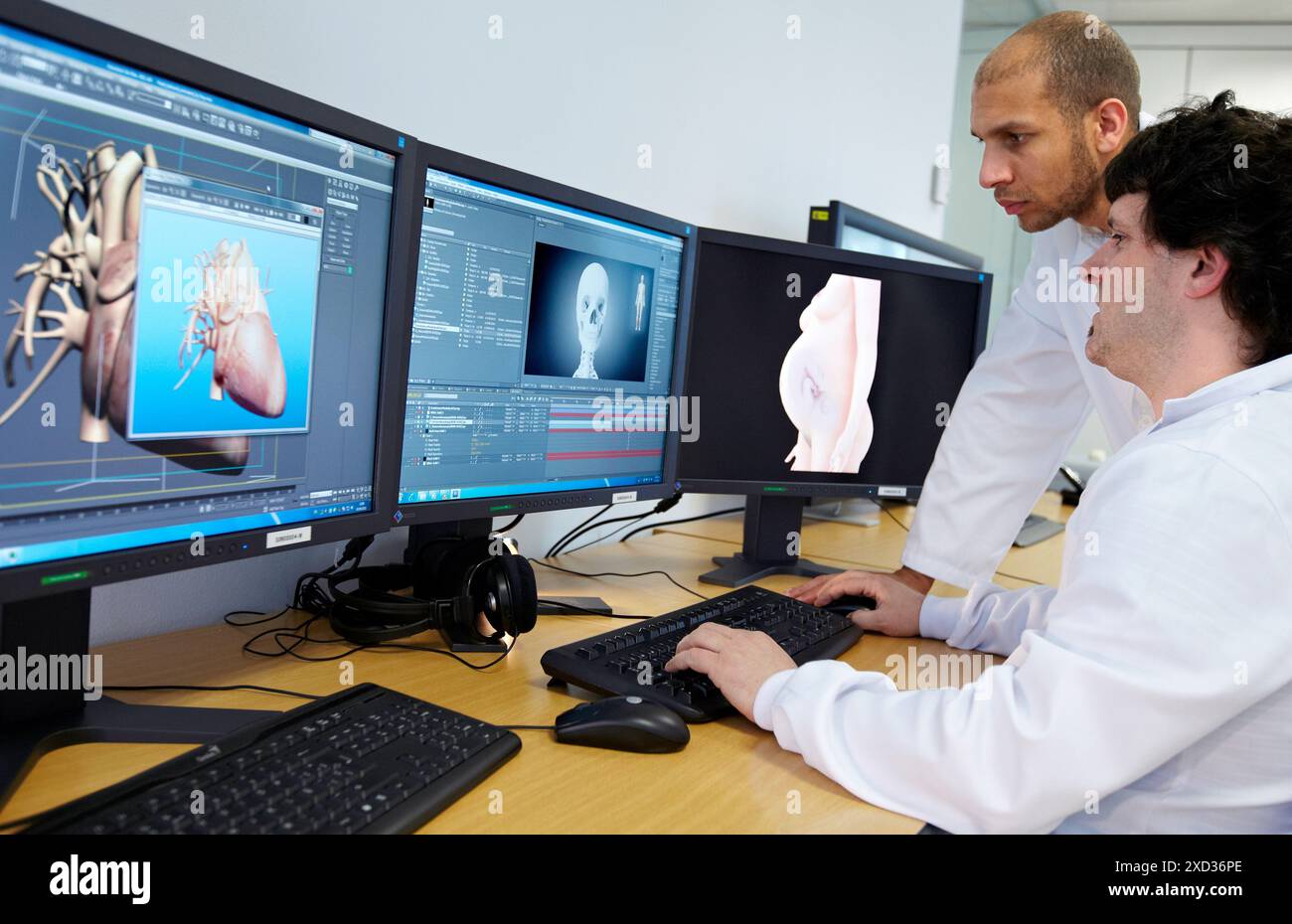 Simulation Of Organ Structure Function Heart Image Health And Biomedical Applications