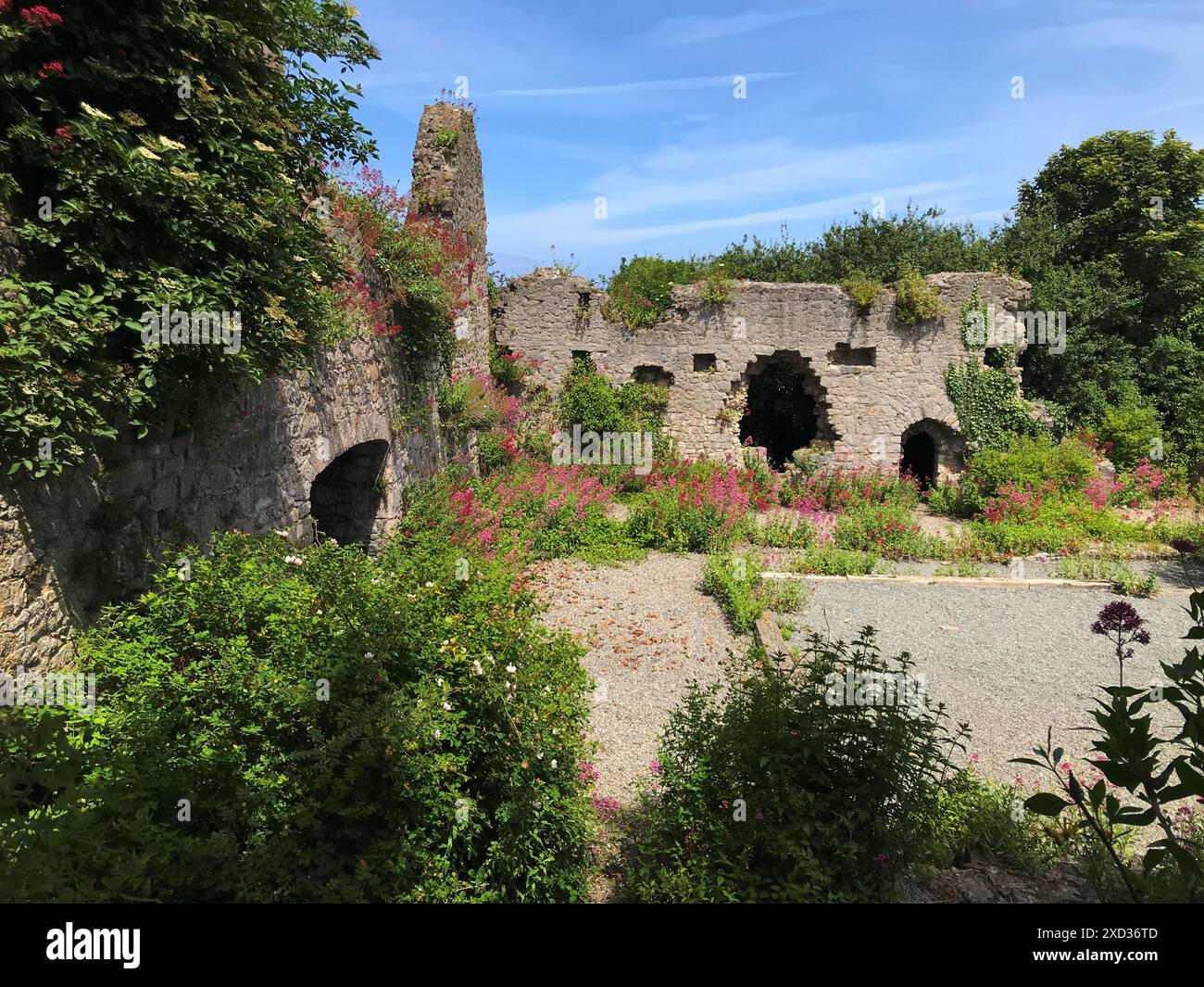 Ruins of medieval castle later fortified mansion, built for Ednyfed ...