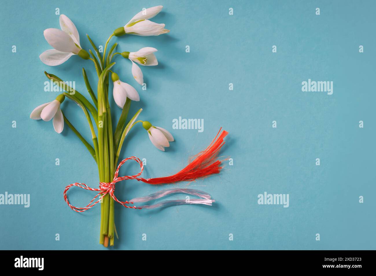 Cute Snowdrops Bouquet With Flower Stems Stock Photo - Alamy
