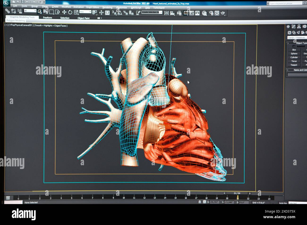 Simulation of organ structure/function, heart image, Health and ...