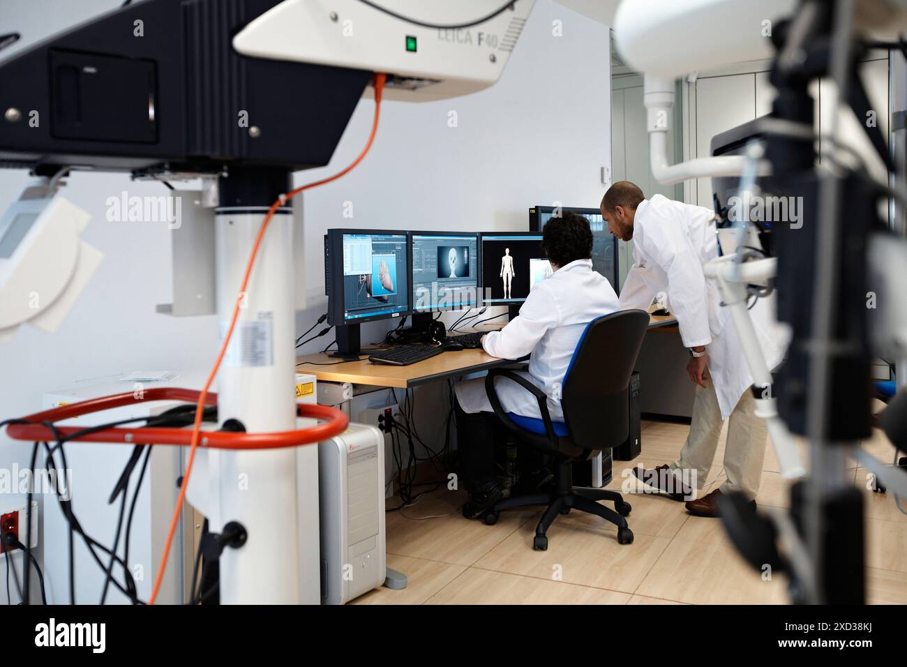 Simulation Of Organ Structure Function Health And Biomedical Applications Vicomtech Ik4 Visual
