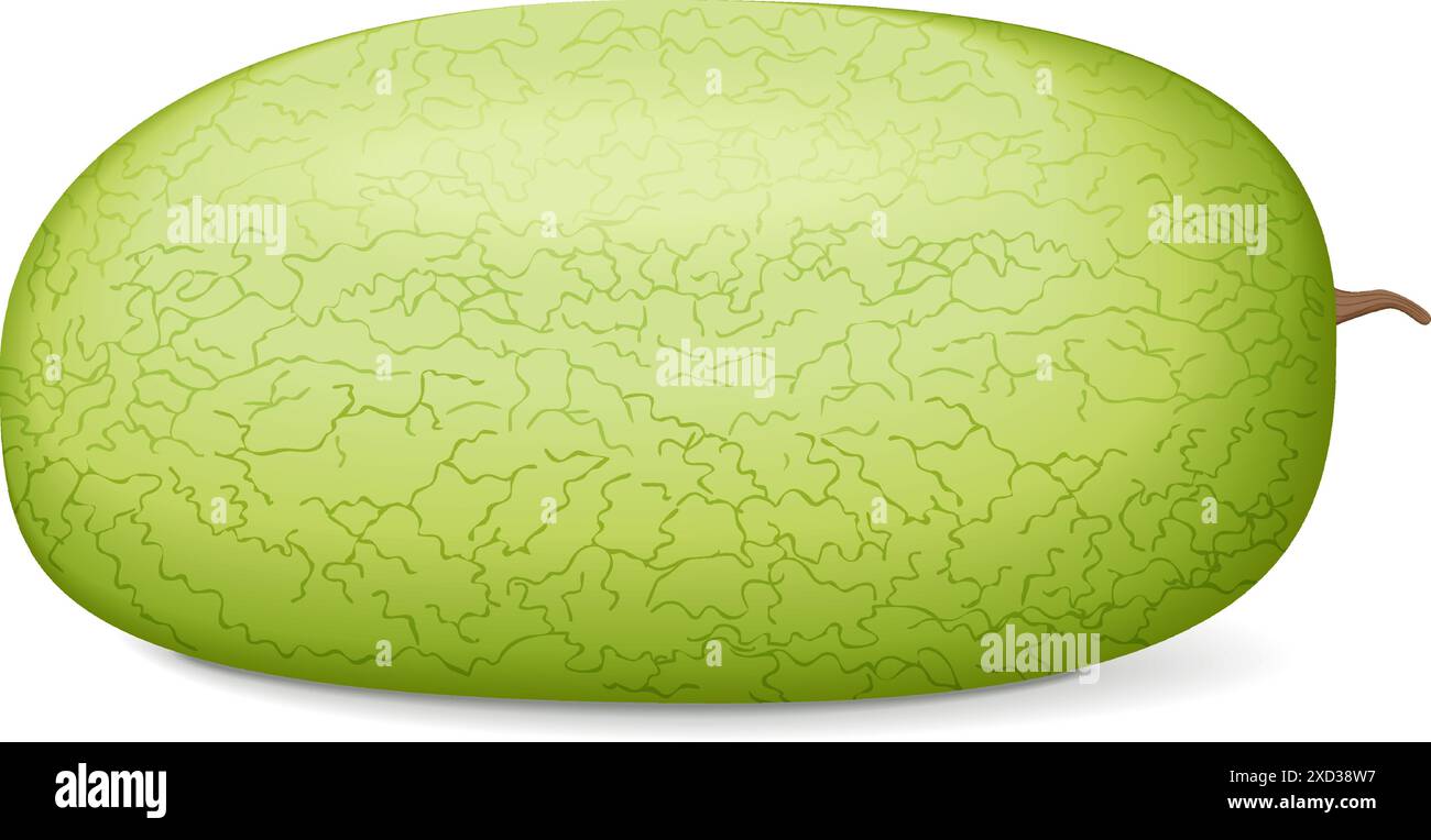 Ali Baba Watermelon. Citrullus lanatus. Fruits and vegetables. Isolated ...