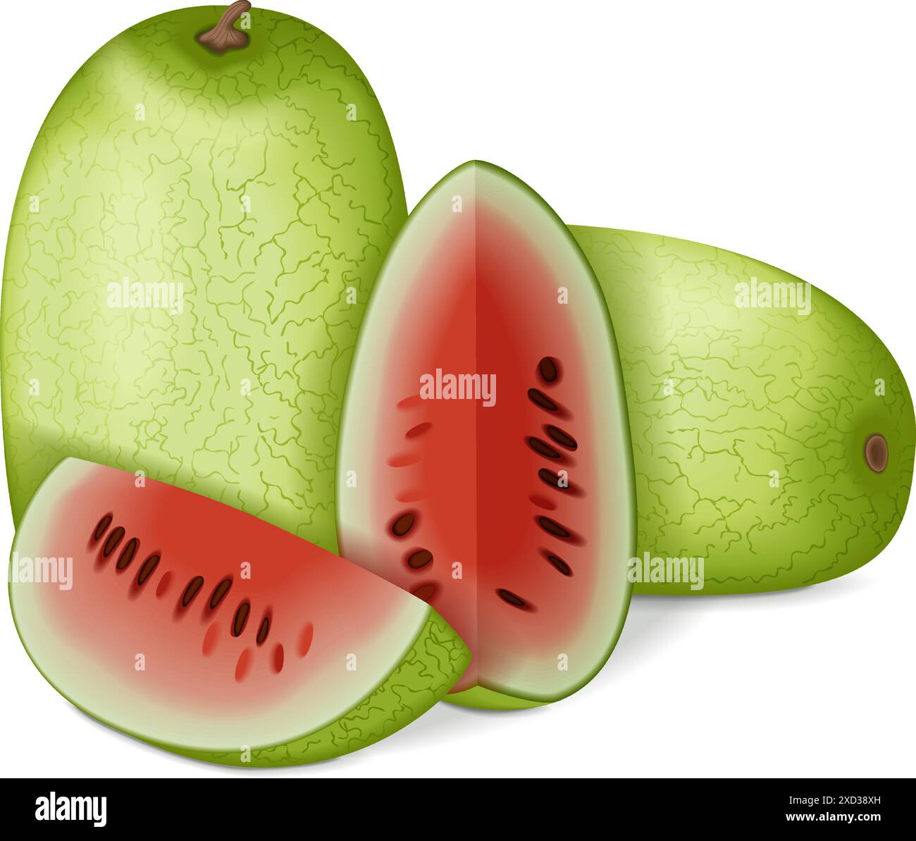 Whole and chopped Ali Baba Watermelon. Citrullus lanatus. Fruits and ...