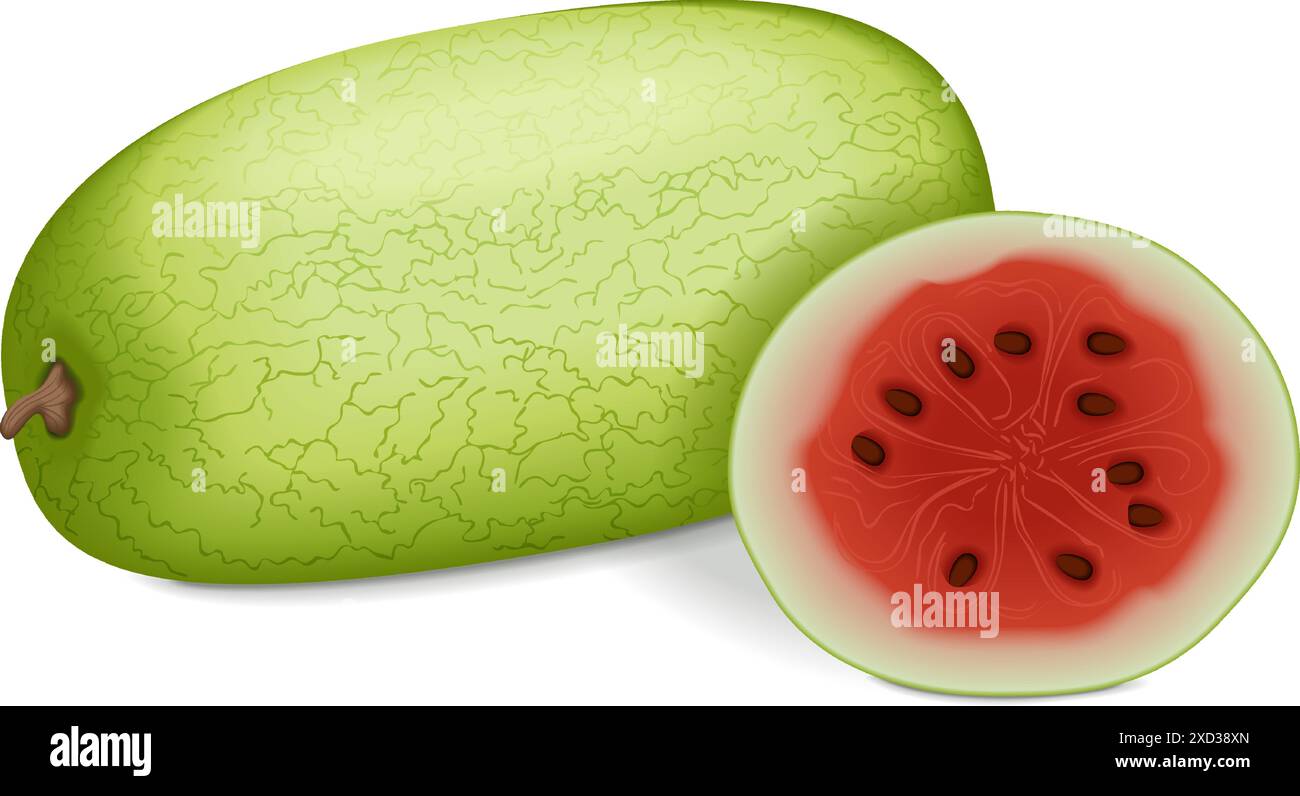 Chopped Ali Baba Watermelon. Citrullus lanatus. Fruits and vegetables ...