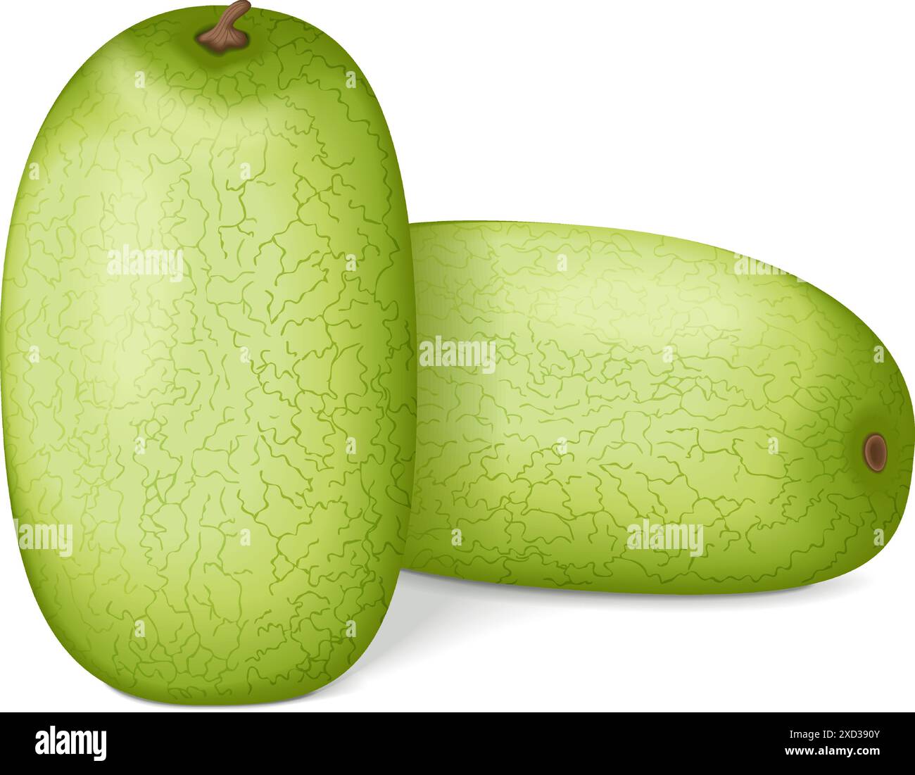 Ali baba store Stock Vector Images - Alamy