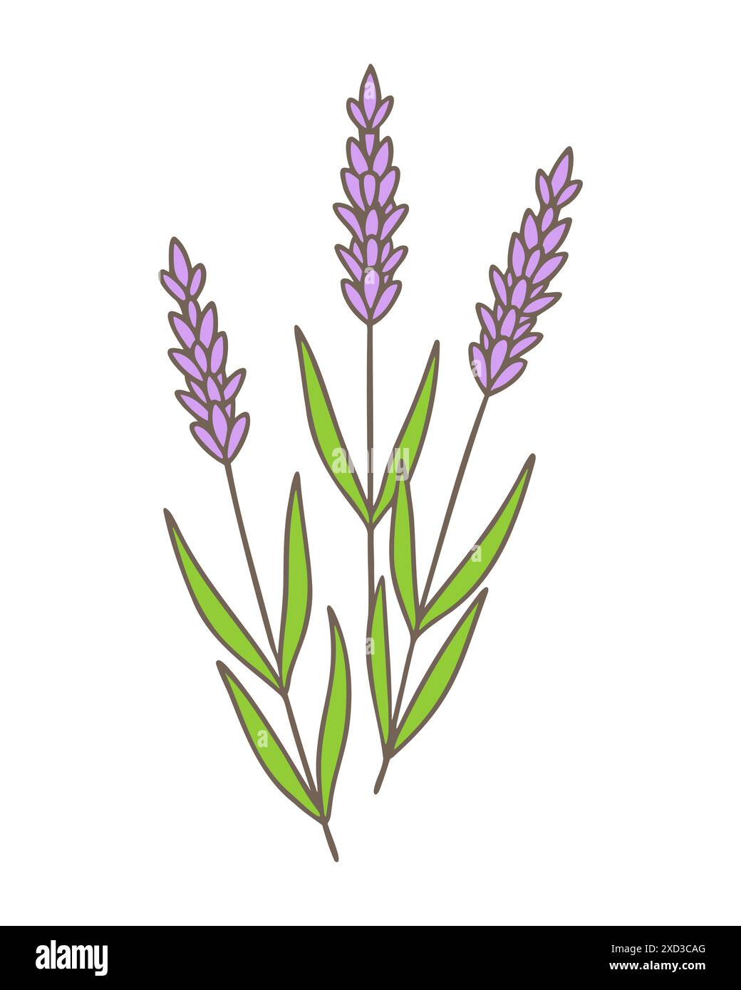 Lavender logo elegant purple Stock Vector Images - Alamy