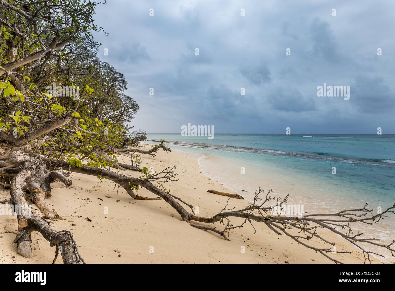 Beach of Lady Musgrave Island with Turquoise Ocean, Great Barrier Reef ...