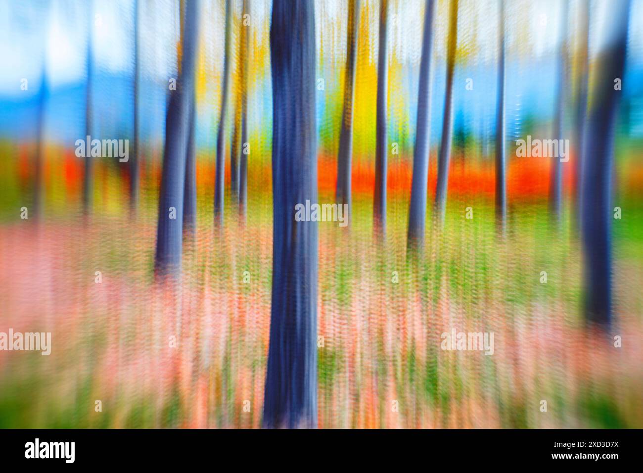 Mimics foliage hi-res stock photography and images - Alamy