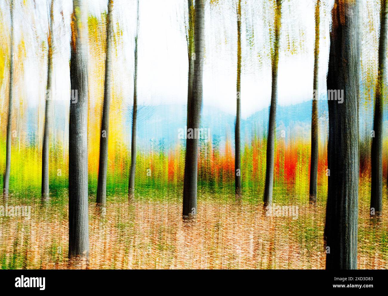 This image captures an artistic interpretation of a forest, with ...