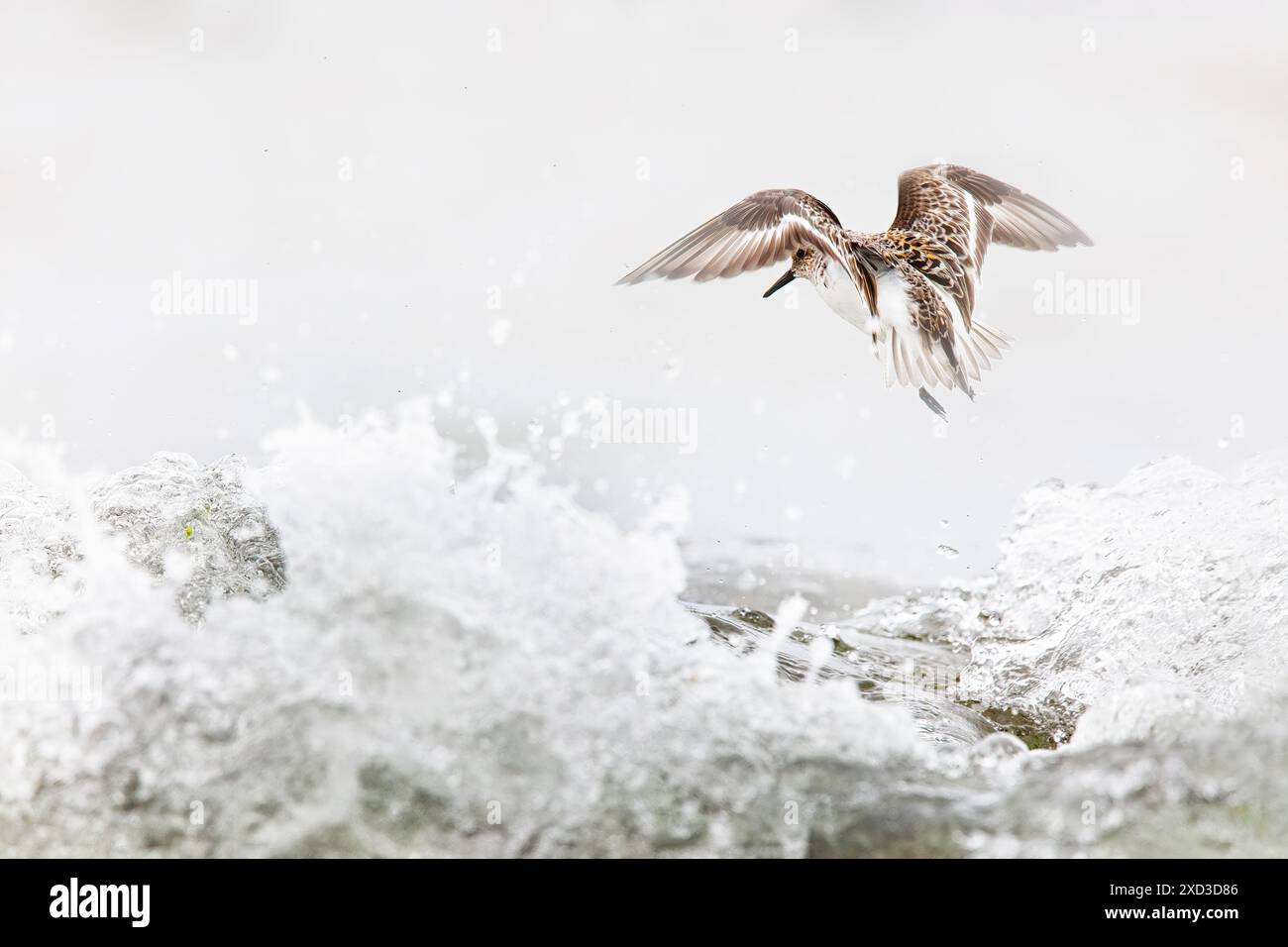 Dynamic mov hi-res stock photography and images - Alamy