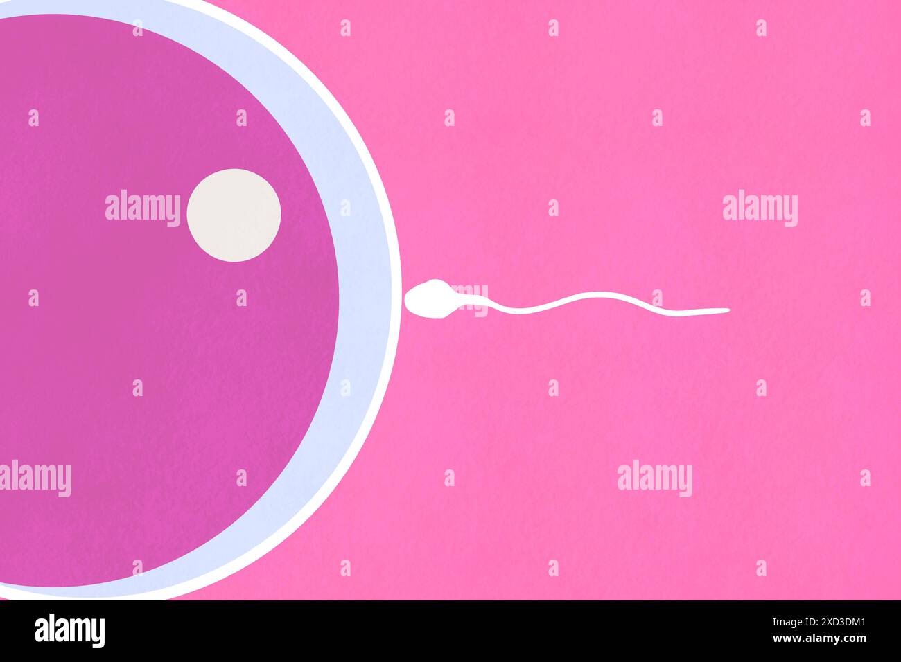 A minimalistic Illustration showcasing the moment a sperm cell ...