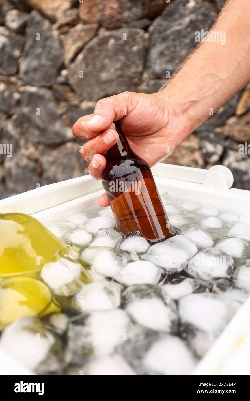 Cropped unrecognizable man's hand grabbing a chilled brown beer bottle ...