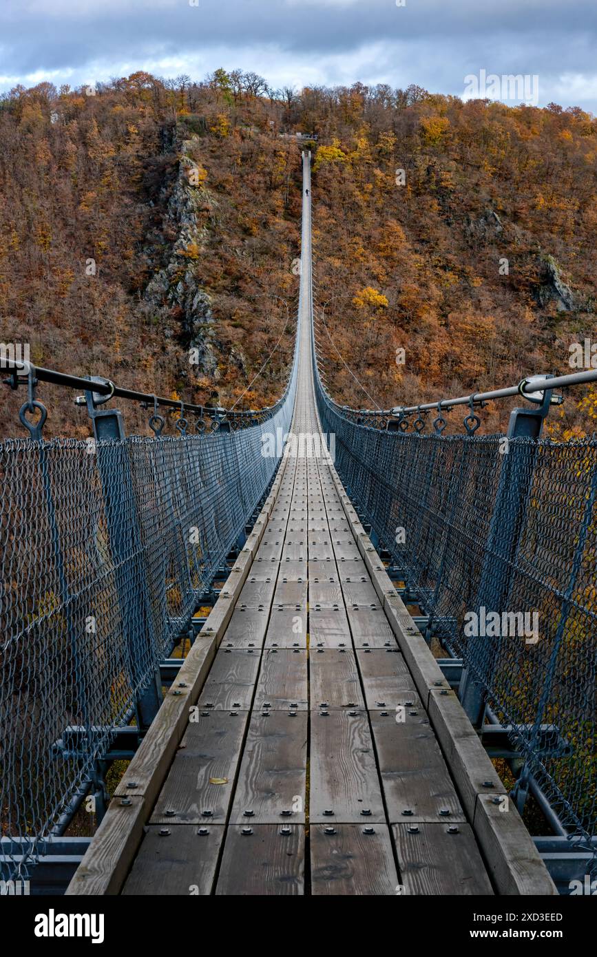 A striking view of the Geierlay Suspension Bridge amidst vibrant autumn ...