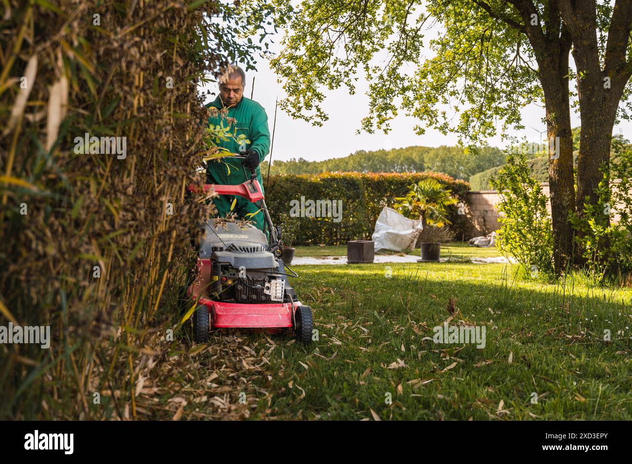 A middle-aged man in a green uniform mows the lawn in a well-maintained ...
