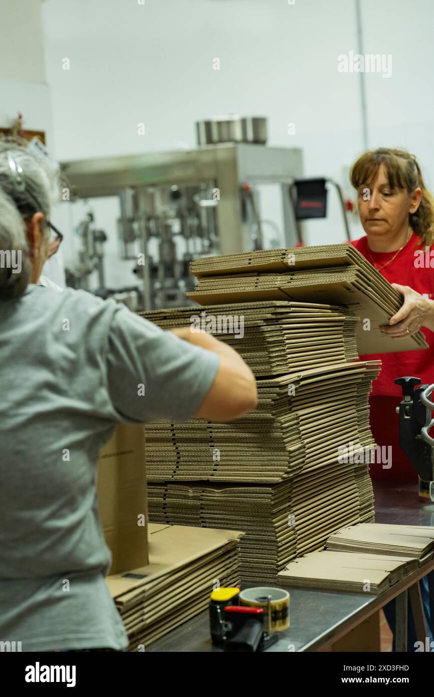 Workers collaborate in a winery packaging facility, stacking cardboard ...