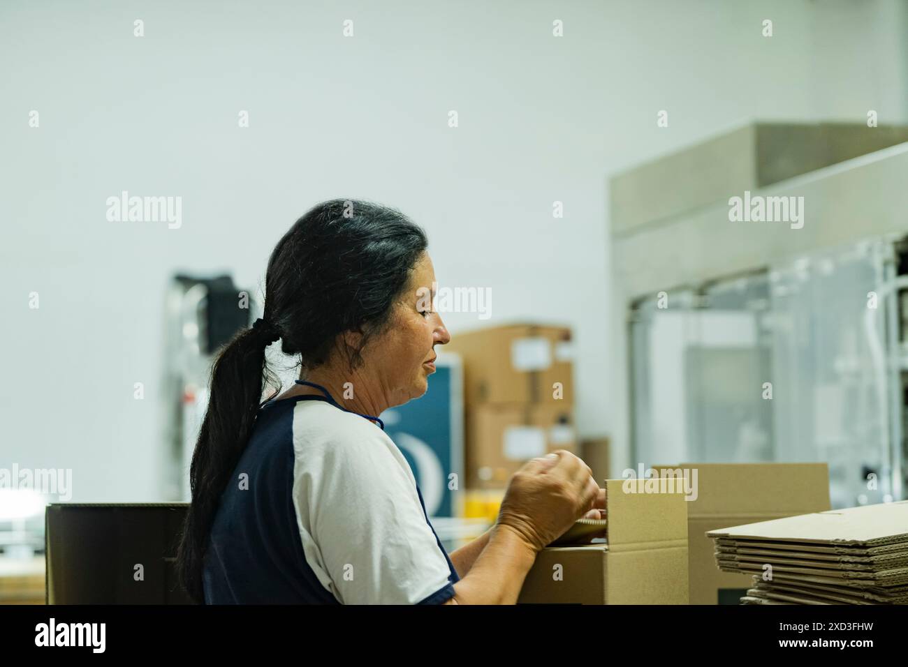 A mature female worker with a braid is focused on packaging items in a ...