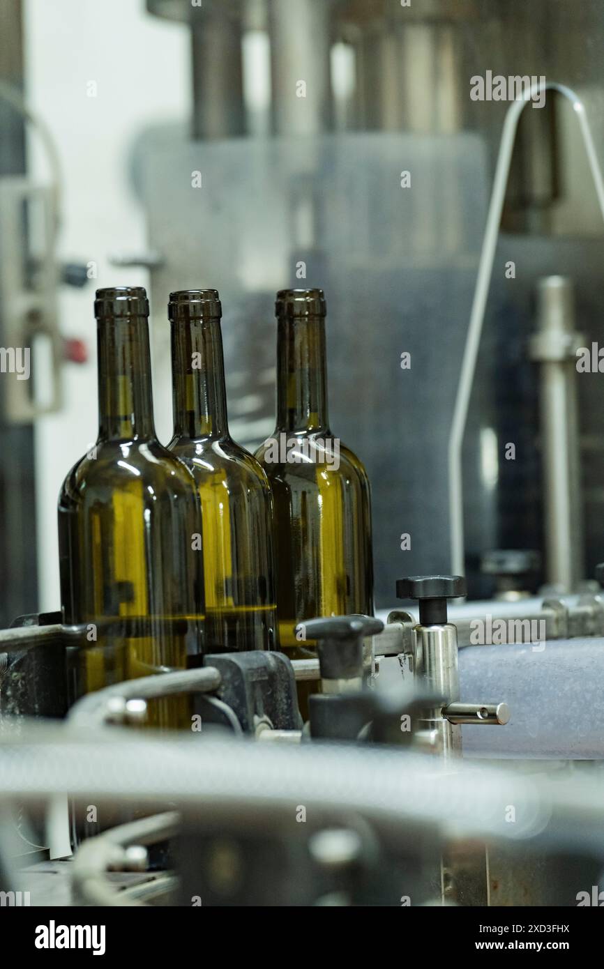 Three empty wine bottles stand on a conveyor belt, awaiting filling and ...
