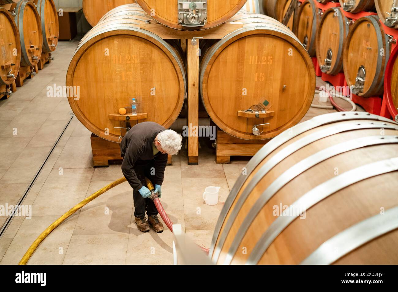 A seasoned winery worker cleans the floor with a hose by large oak wine ...