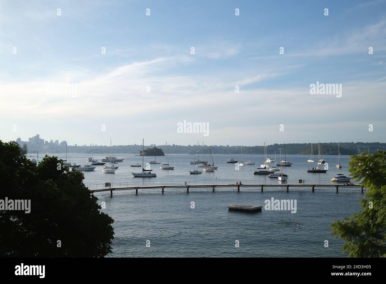 The pontoon and a sole swimmer Redleaf Beach and the Murray Rose pool ...