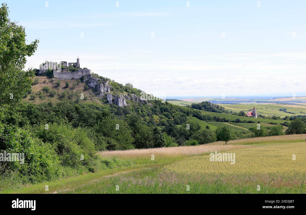The medieval castle ruins of Falkenstein in northeastern Lower Austria ...