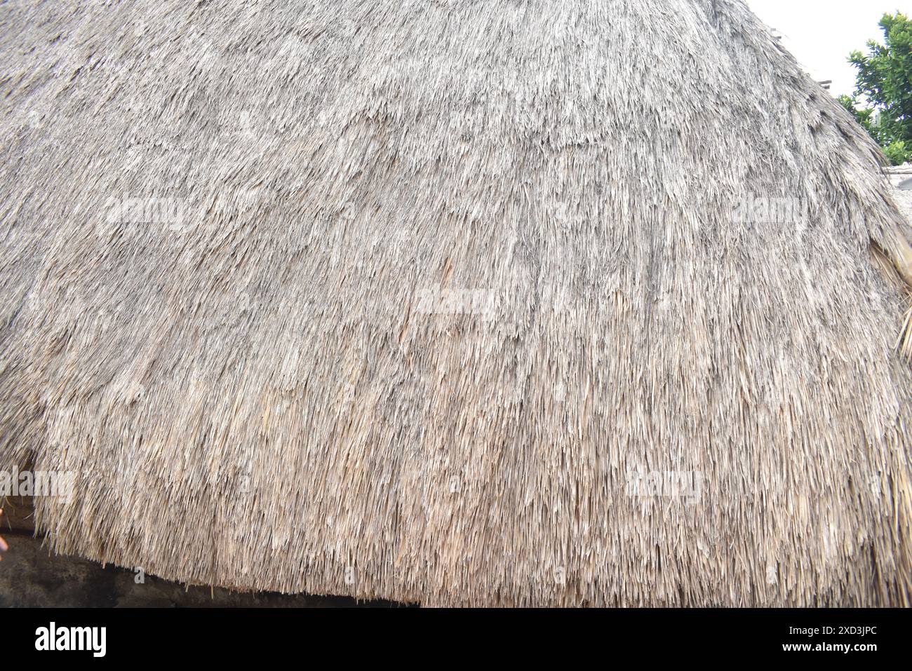 traditional houses and beautiful traditional life in Sade Village ...