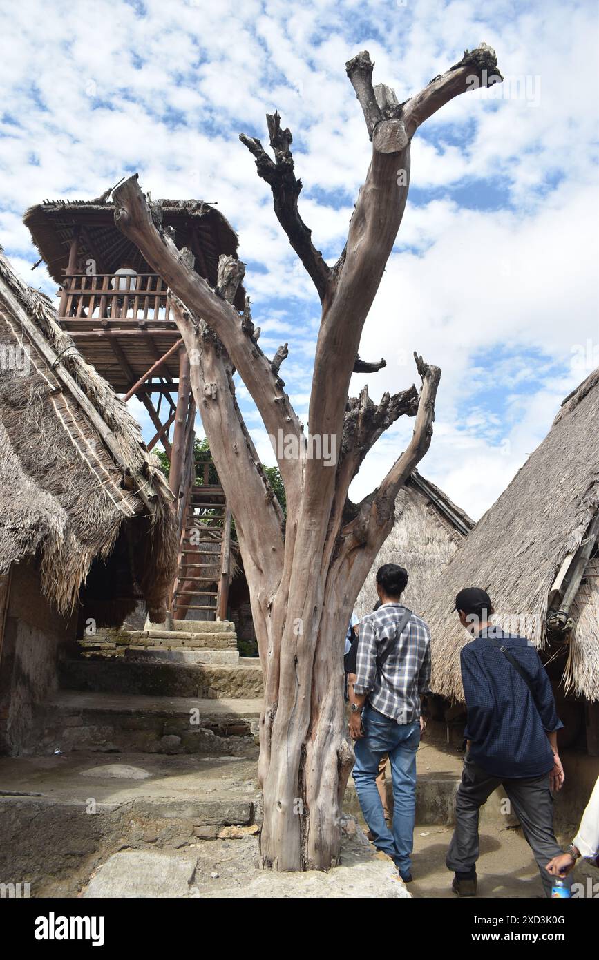 traditional houses and beautiful traditional life in Sade Village ...