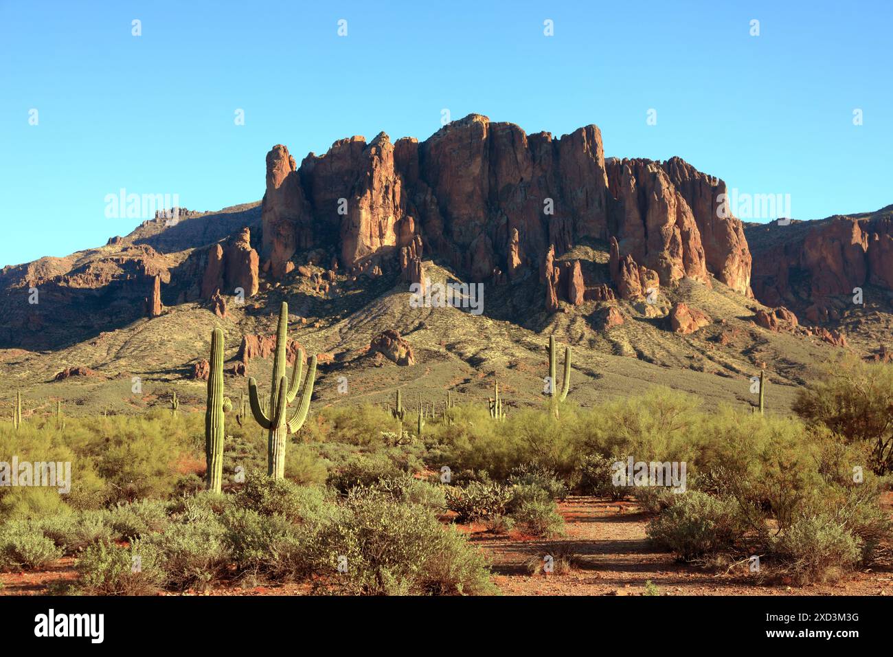 Mustard gas dutchman state park hi-res stock photography and images - Alamy
