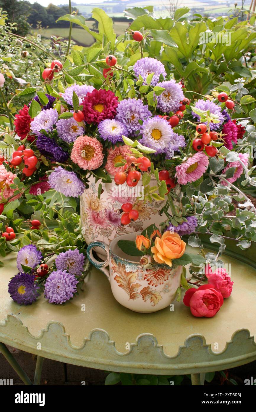 Callistephus vase hi-res stock photography and images - Alamy