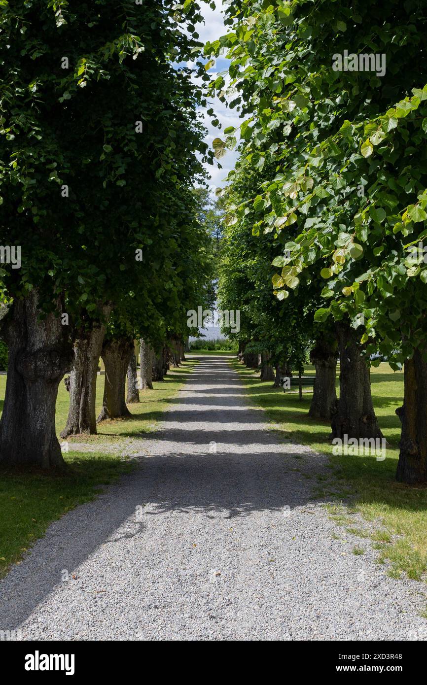 A tree-lined gravel pathway with lush green foliage, extending into the ...