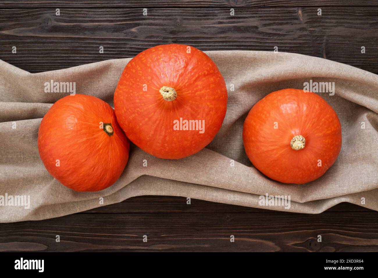 Uchiki Kuri Pumpkin or Red Kuri Squash Harvest Stock Photo - Alamy