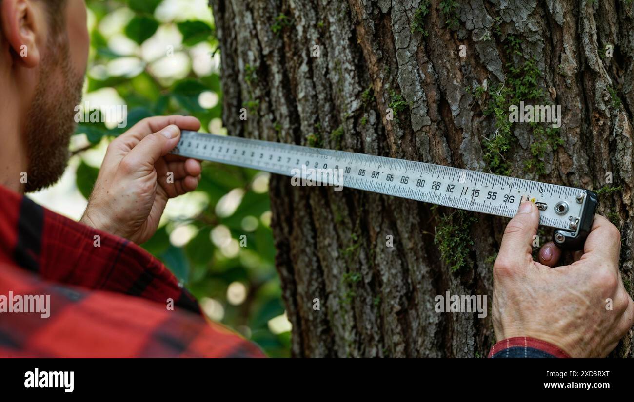 view of man's hands measuring the thickness of a tree branch with a ...