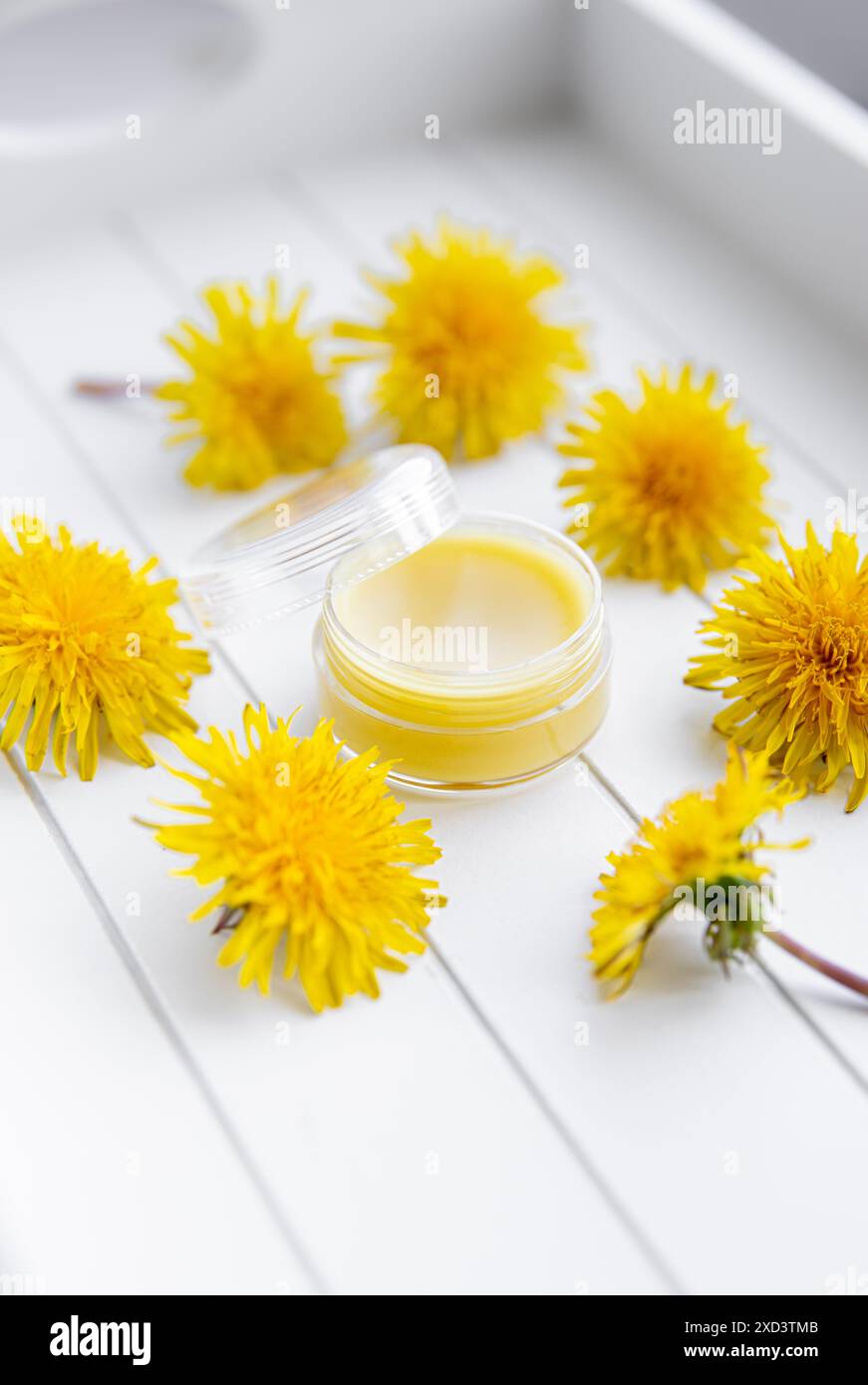 Balm made with dandelions for sore muscles and chapped skin. Jar with ...