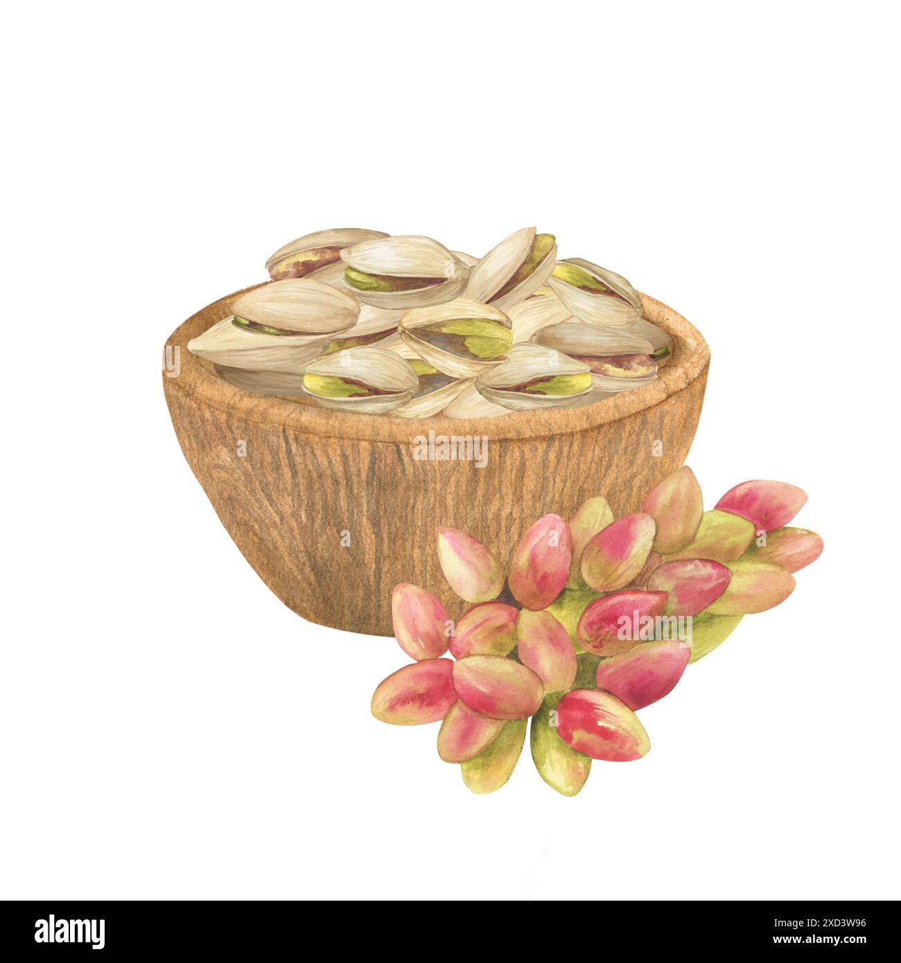 Pistachio nut in wooden bowl plate with pistachio tree fruits ...
