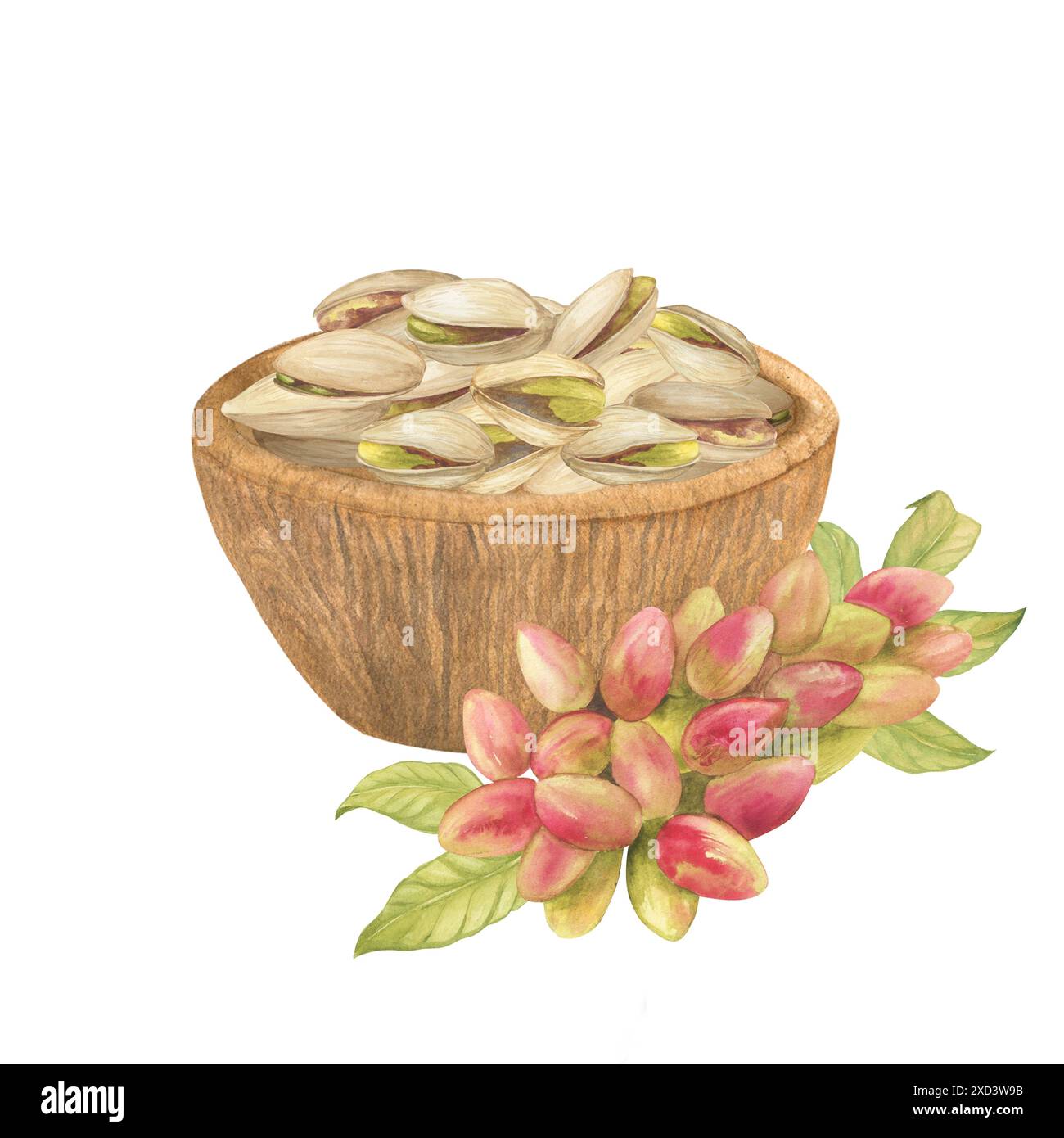 Pistachio nut in wooden bowl plate with pistachio tree fruits and ...