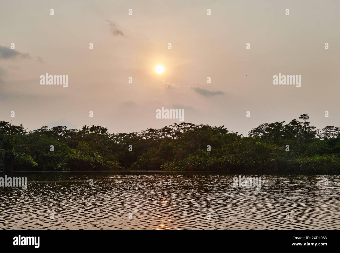 Lake and landscape of the Cuyabeno wildlife reserve at sunset, Amazon ...