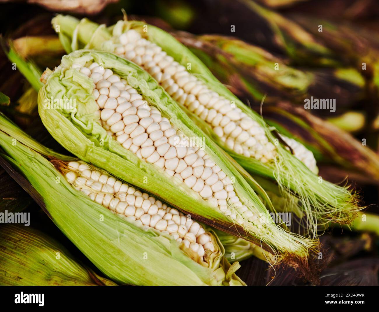 White corn hi-res stock photography and images - Alamy