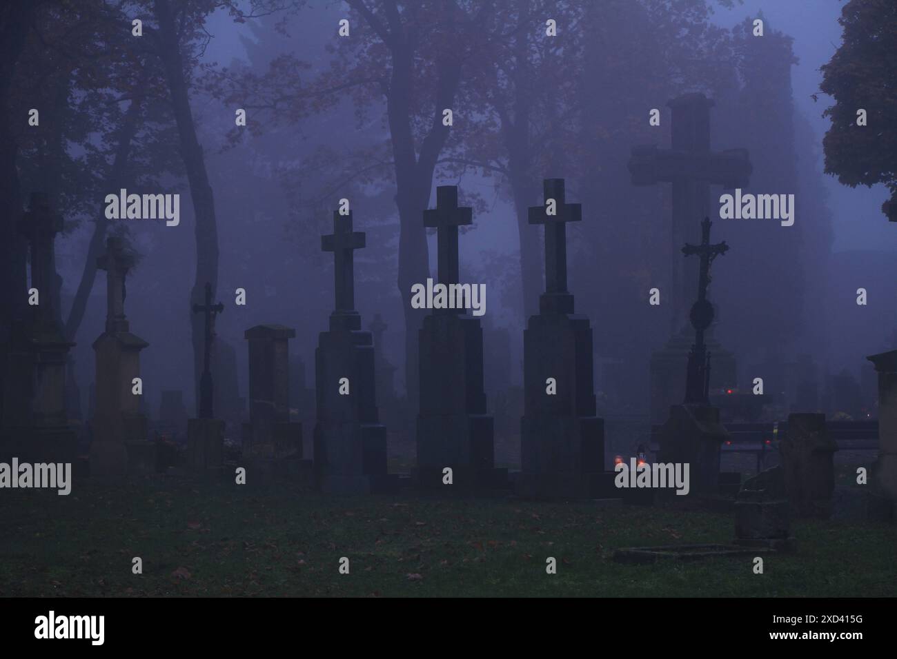Graves and crosses under trees with a horror foggy atmosphere in a ...