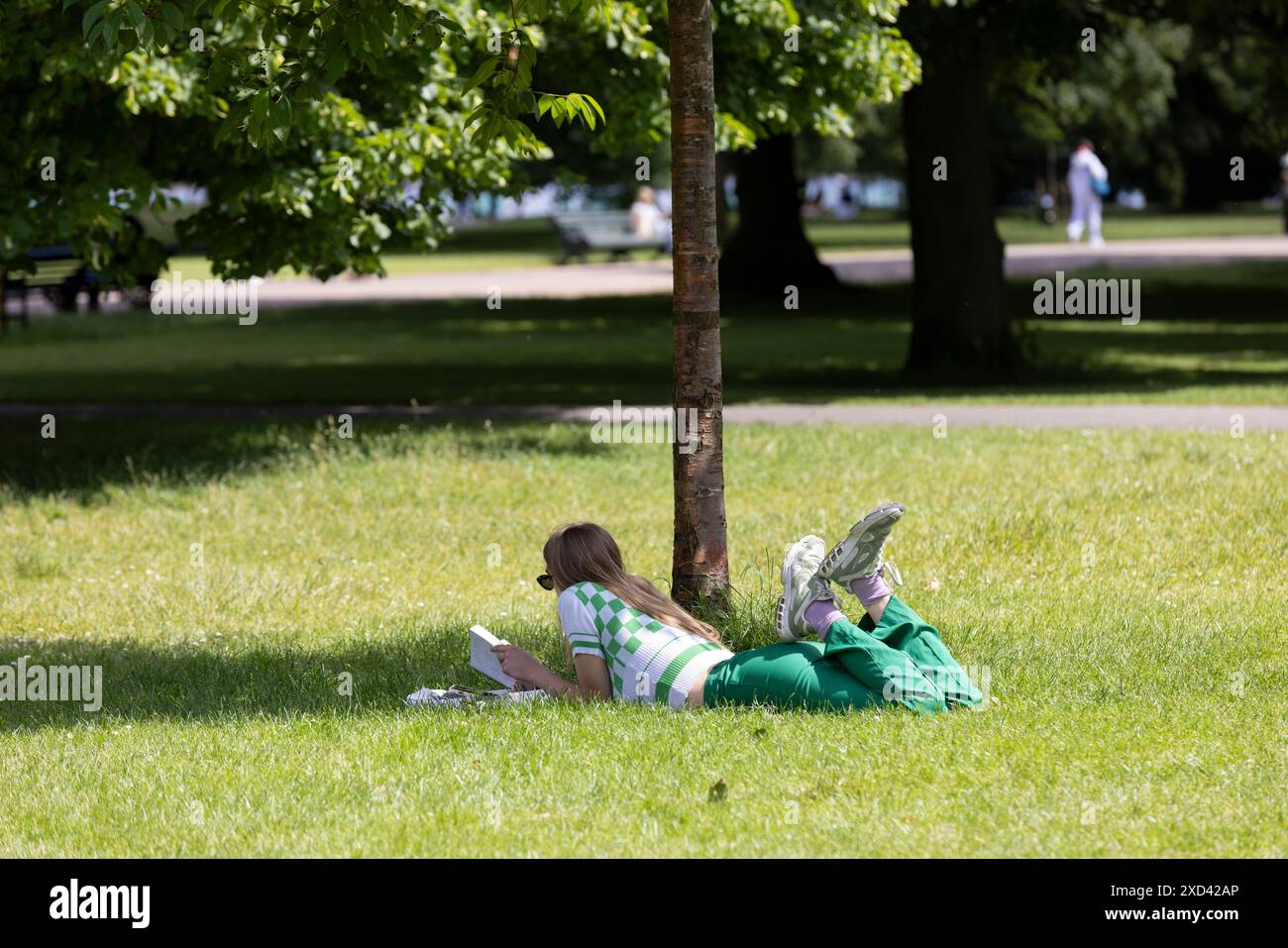 A young woman sunbathes whilst reading her book sheltering under a tree ...