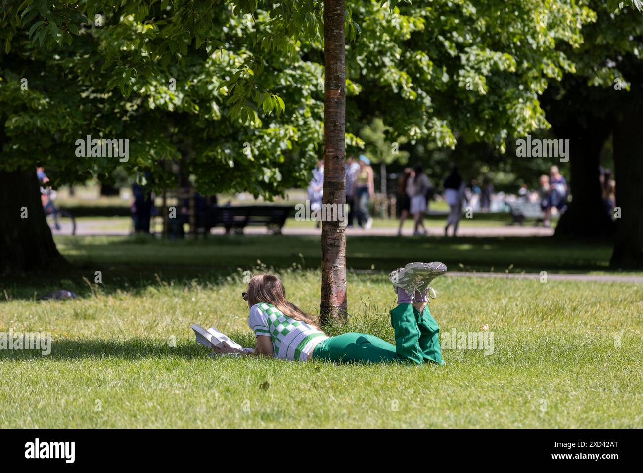 A young woman sunbathes whilst reading her book sheltering under a tree ...