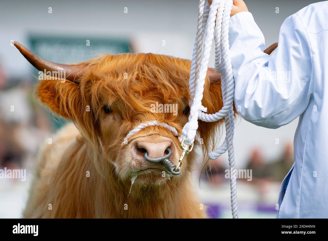 Edinburgh, Scotland, UK. 20th June 2024. Opening day of the Royal ...