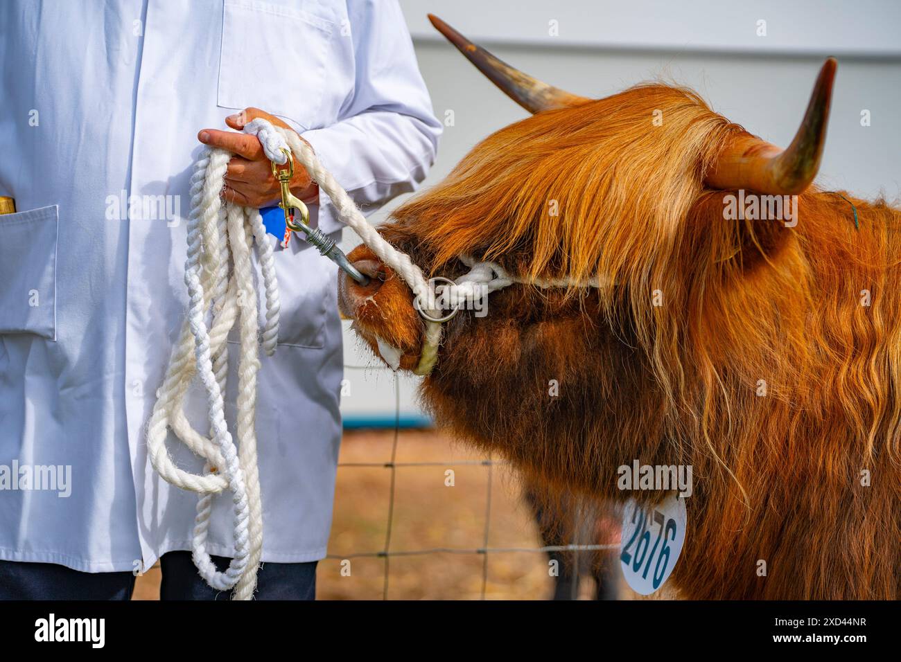 Edinburgh, Scotland, UK. 20th June 2024. Opening day of the Royal ...