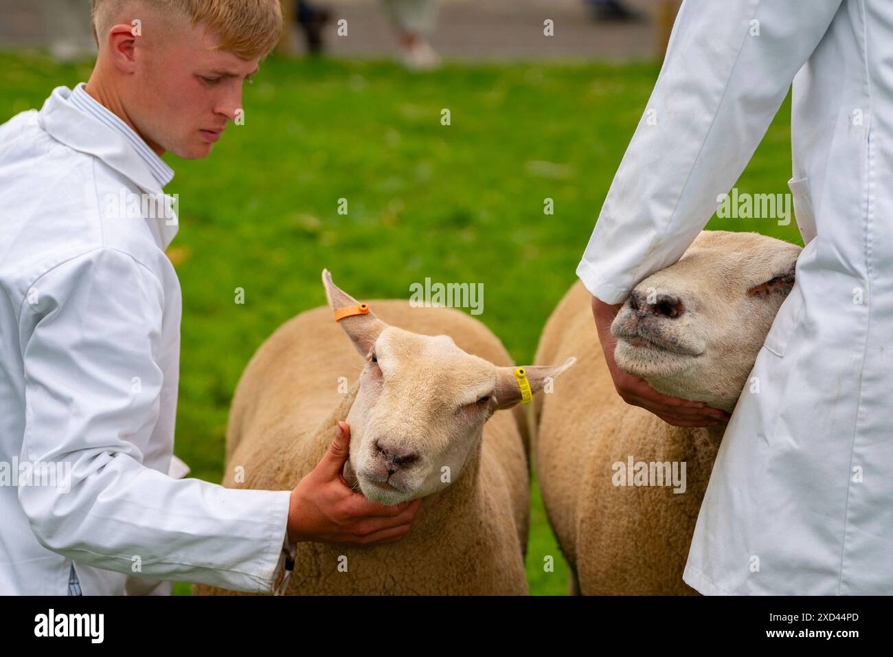 Edinburgh, Scotland, UK. 20th June 2024. Opening day of the Royal ...