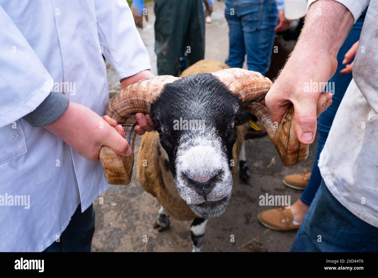 Edinburgh, Scotland, UK. 20th June 2024. Opening day of the Royal ...