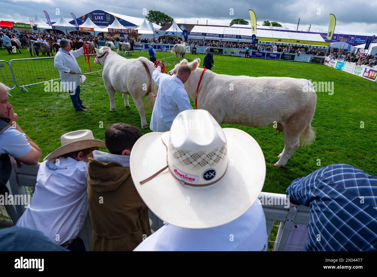 Edinburgh, Scotland, UK. 20th June 2024. Opening day of the Royal ...