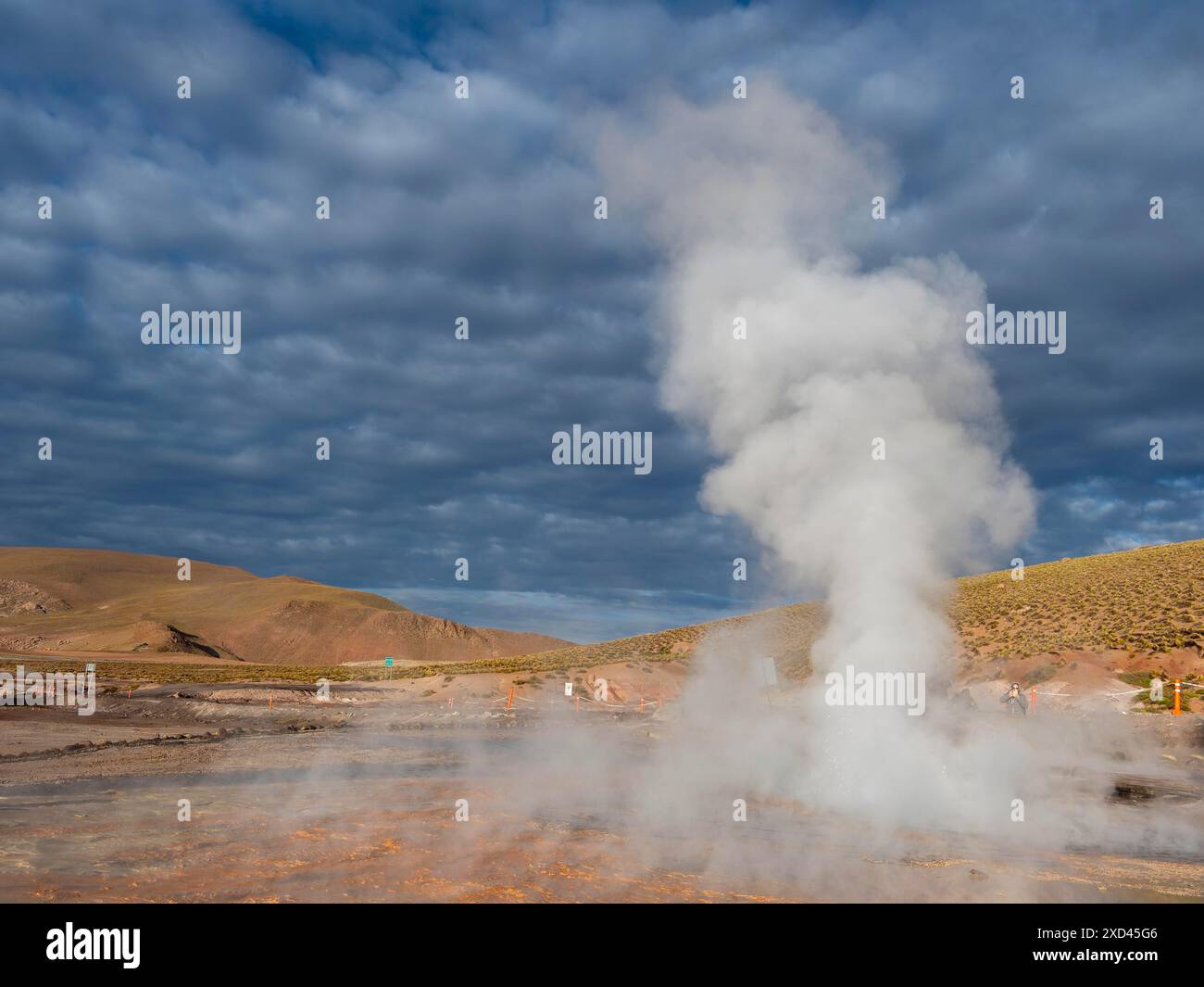 Geysers and rising steam in the Atacama Desert, Chile Stock Photo - Alamy