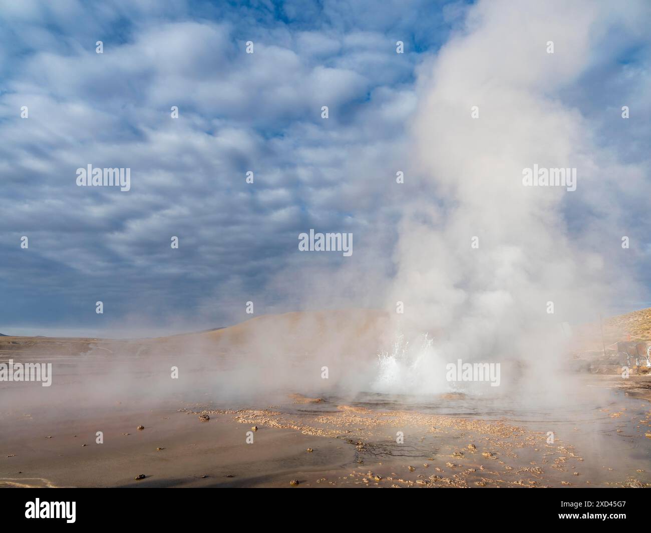 Geysers and rising steam in the Atacama Desert, ChileGeysers in the ...