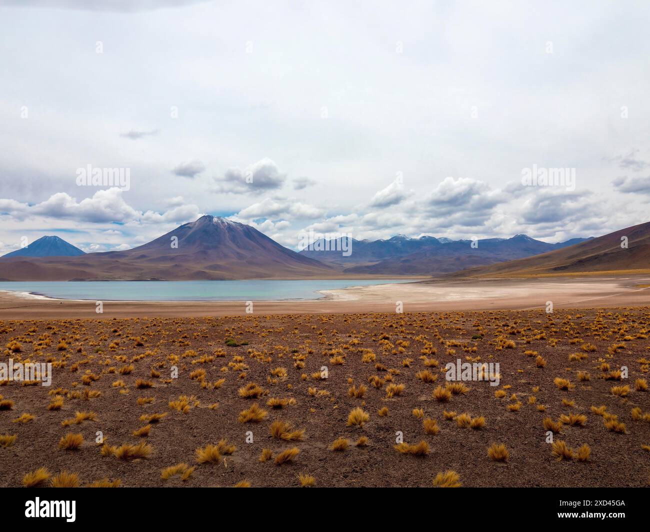 Highland lagoons Atacama Desert, Chile Stock Photo - Alamy