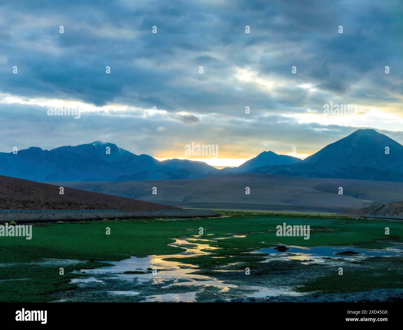 Highland landscape with tundra and lagoons, Atacama Desert, Chile Stock ...