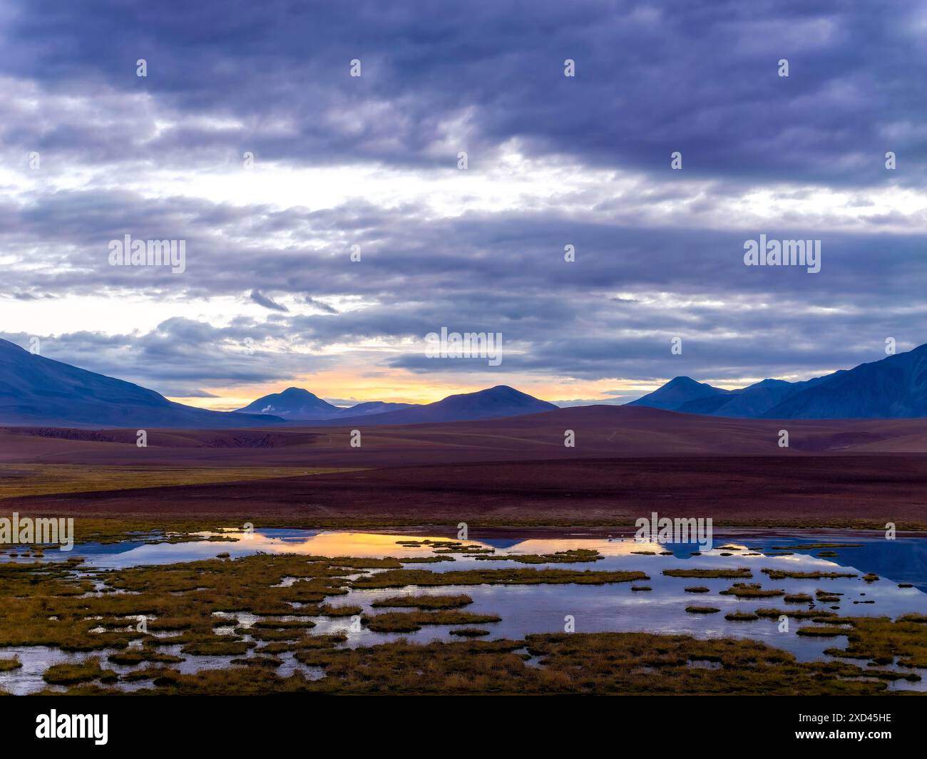 Highland landscape with tundra and lagoons, Atacama Desert, Chile Stock ...