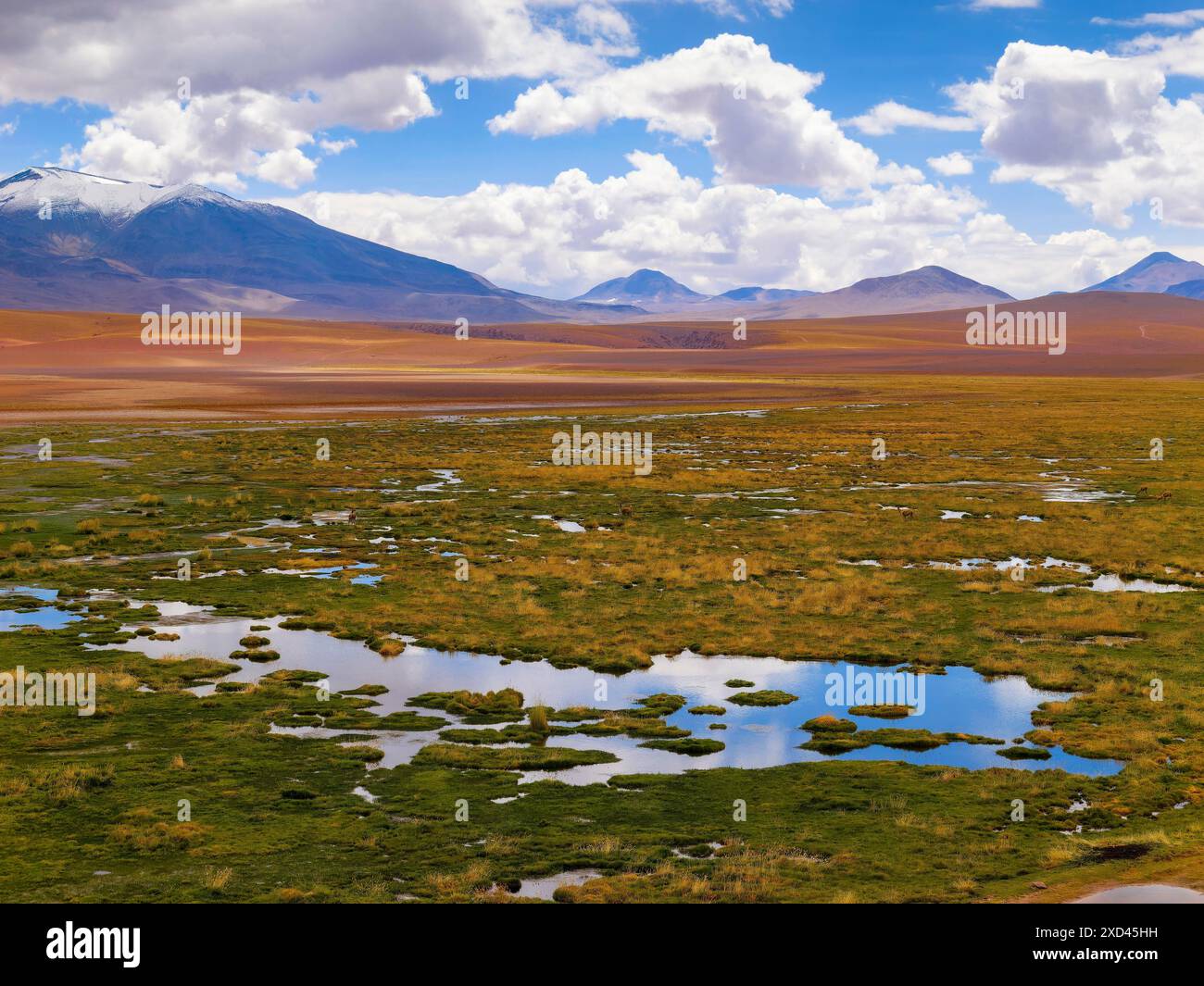 Highland landscape with tundra, mountains and lagoons, Atacama Desert ...